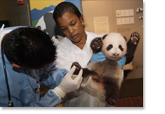 Lisa Stevens - Science Update