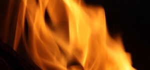 Smoke Resistance - Science Update